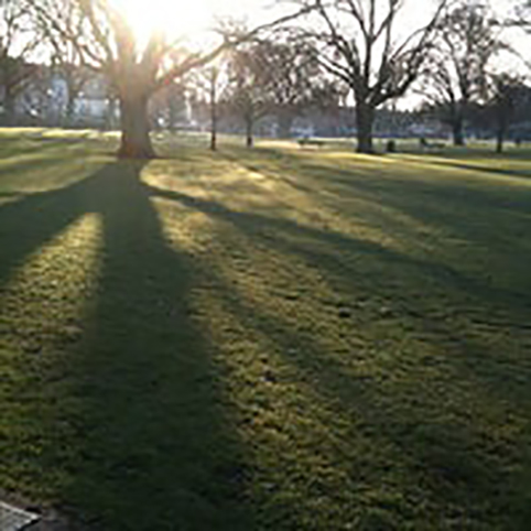 Today in London riotous history, 1878: crowd tear down enclosure fences ...